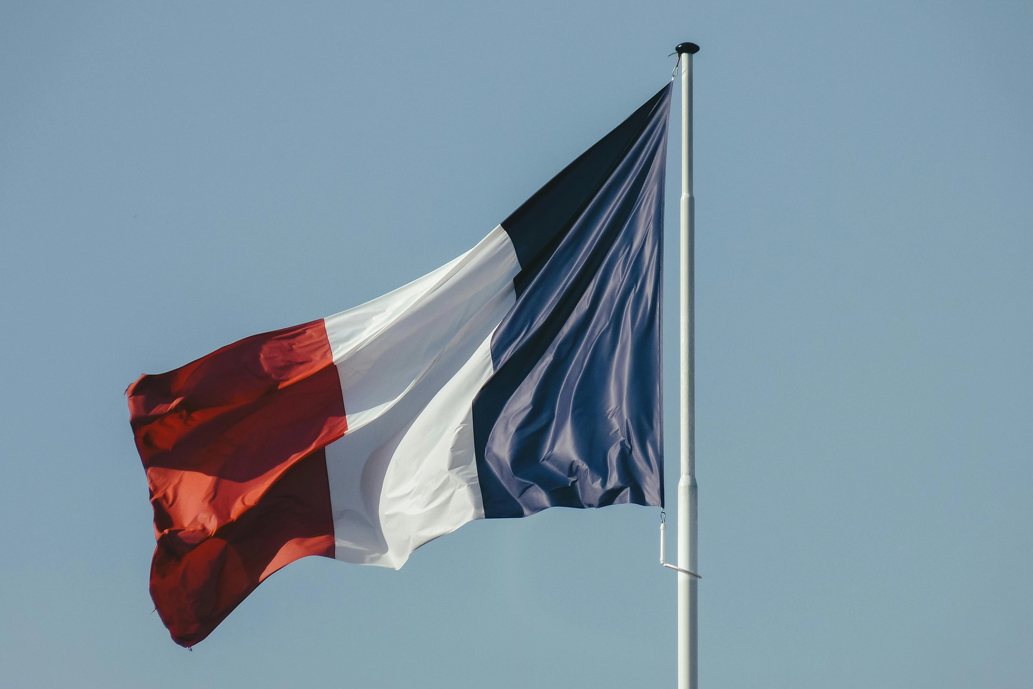 French Flag Color Palette, Combinations & Schemes | Octet Design Labs
