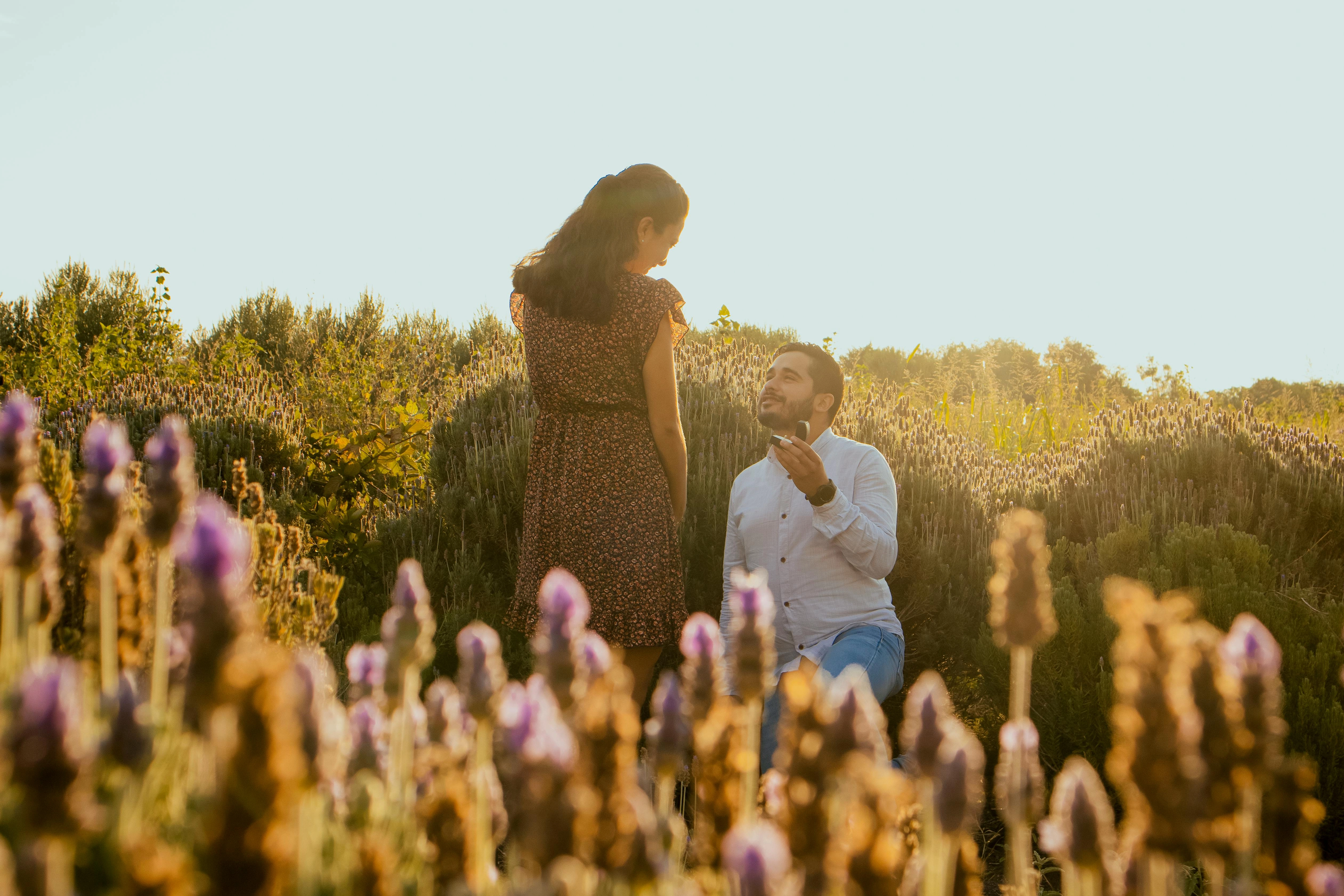 Romantic proposal Color Palette, Combinations & Schemes | Octet Design Labs