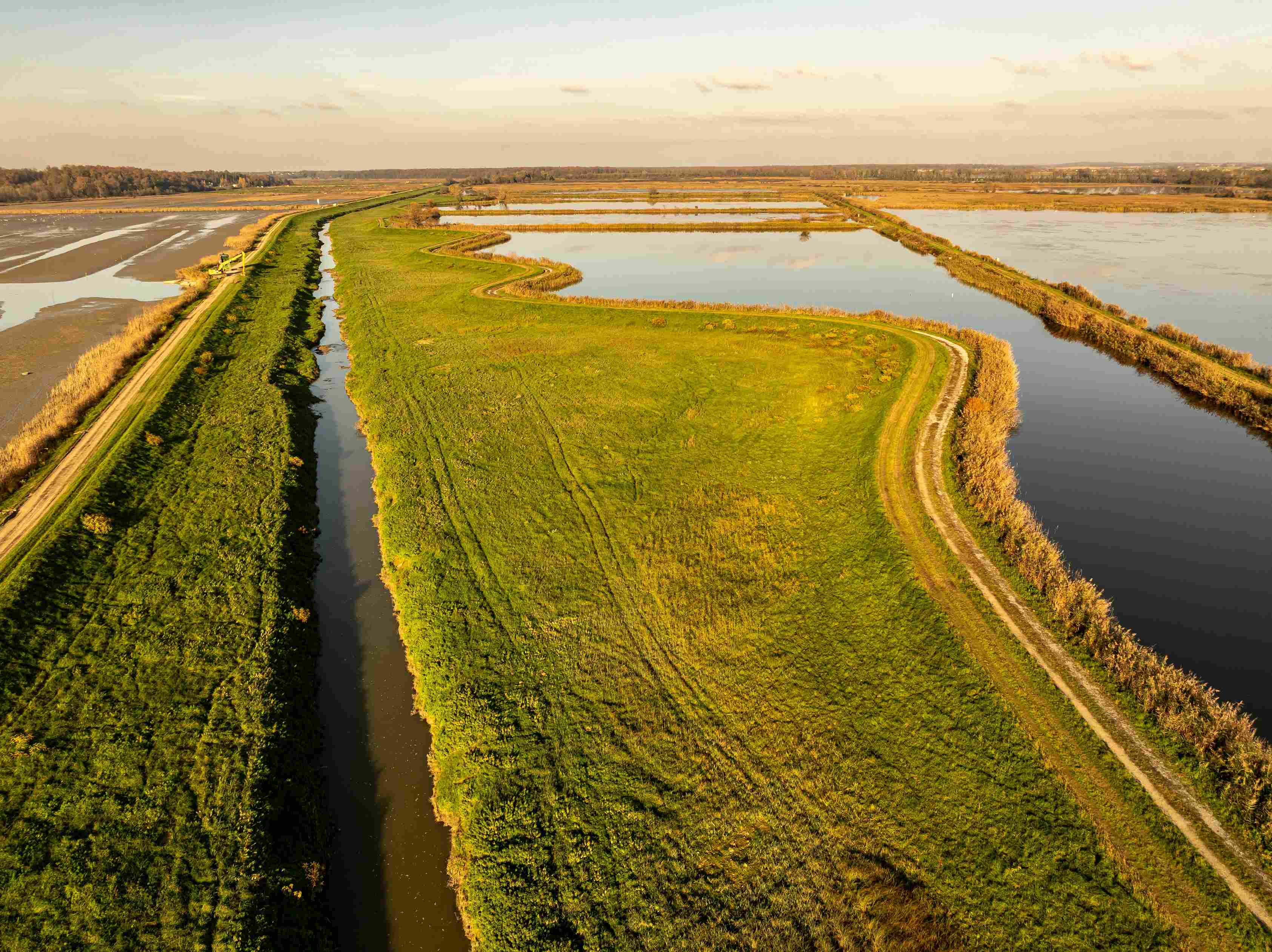 Aerial Wetland Color Palette, Combinations & Schemes | Octet Design Labs