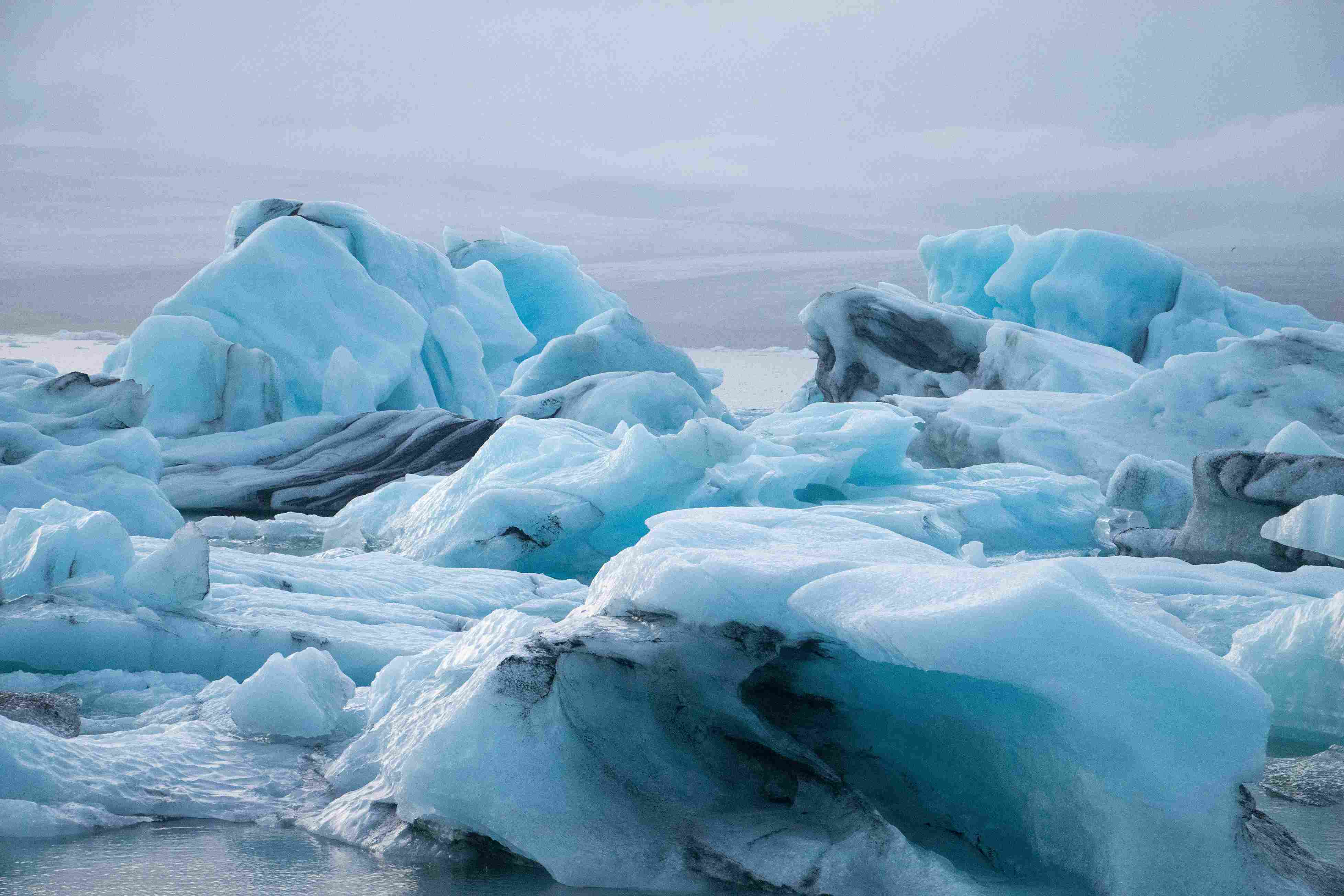 Arctic Icebergs Color Palette, Combinations & Schemes | Octet Design Labs