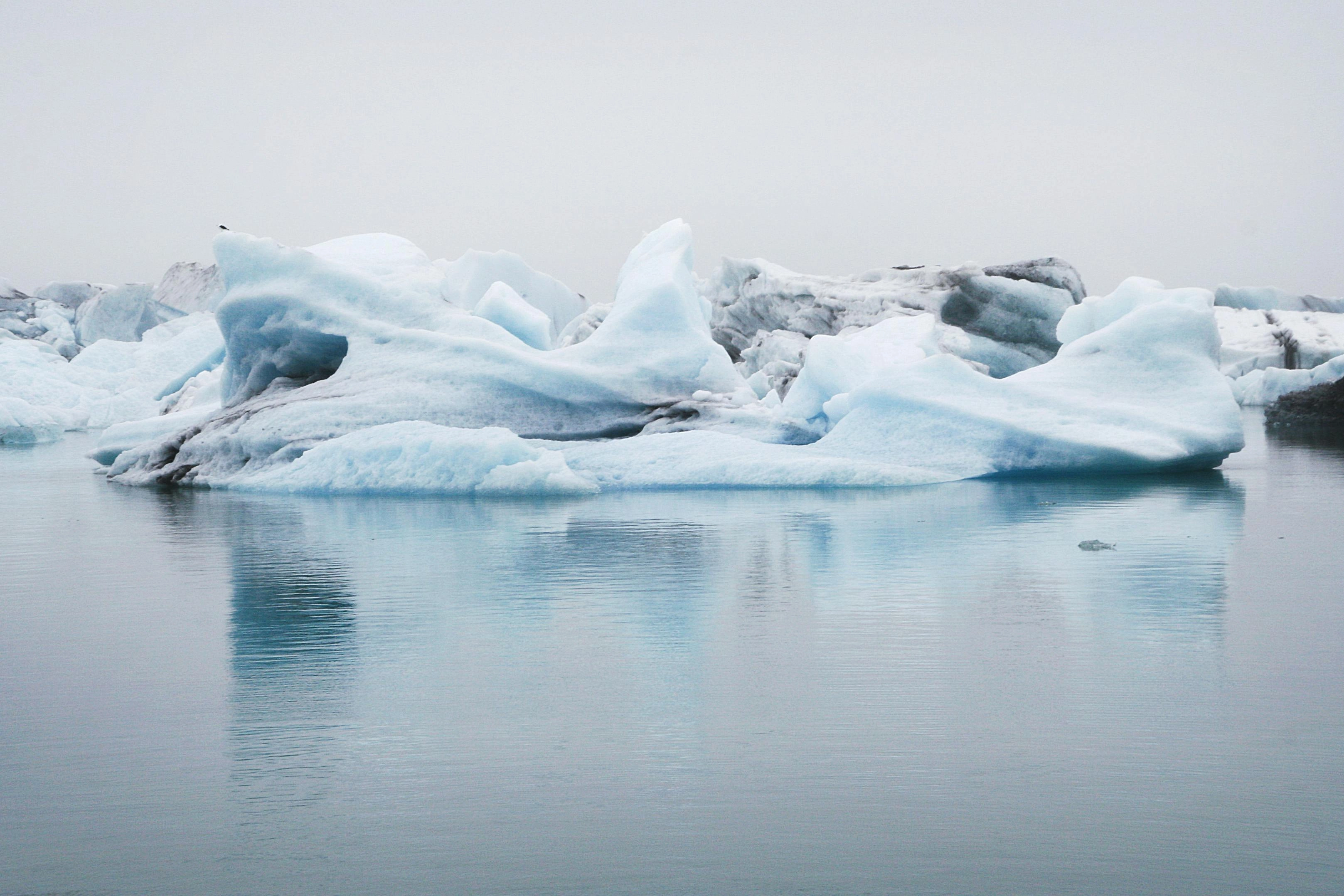 Glacial Icebergs Color Palette, Combinations & Schemes | Octet Design Labs