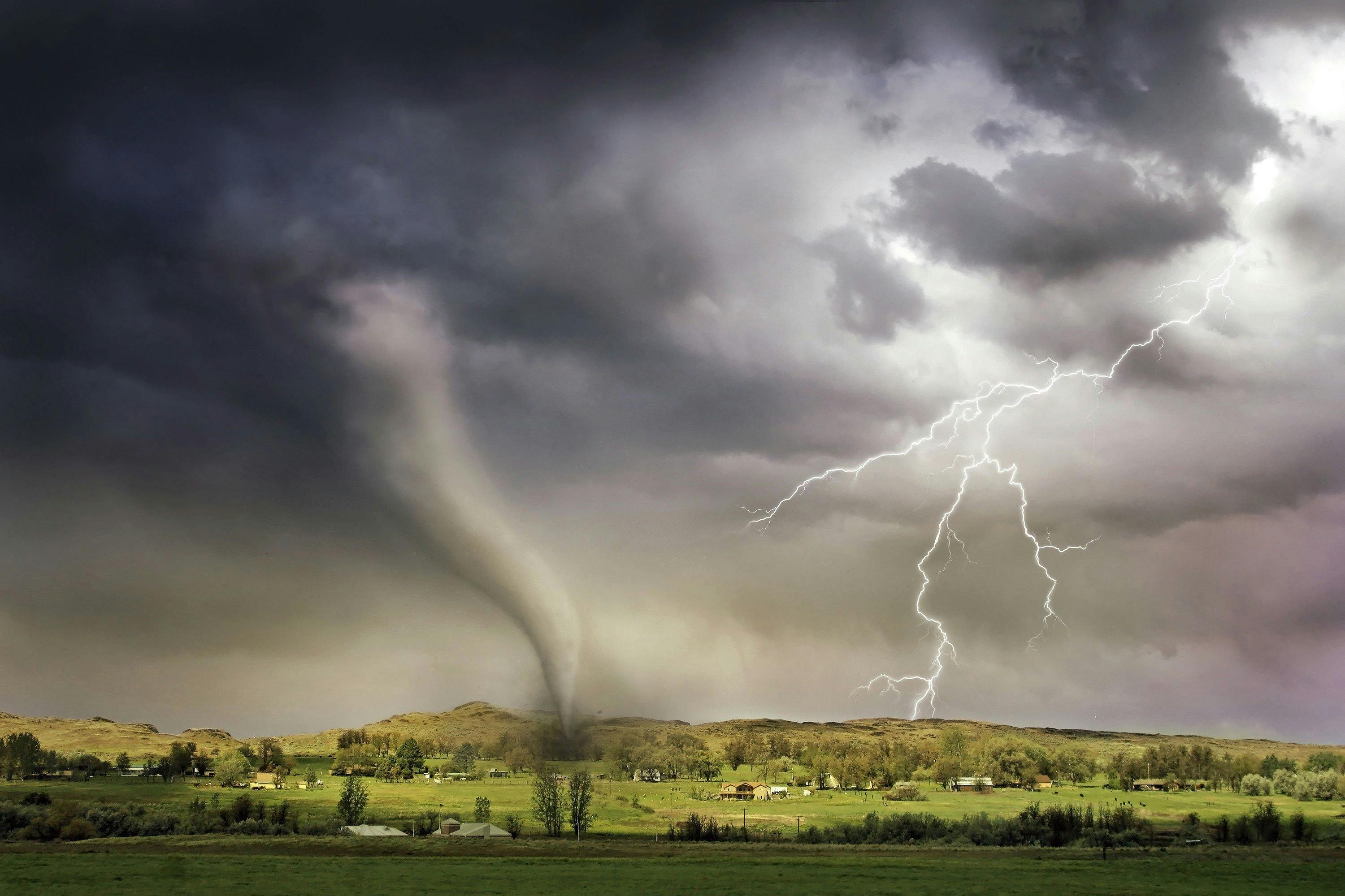 Tornado and Color Palette, Combinations & Schemes | Octet Design Labs
