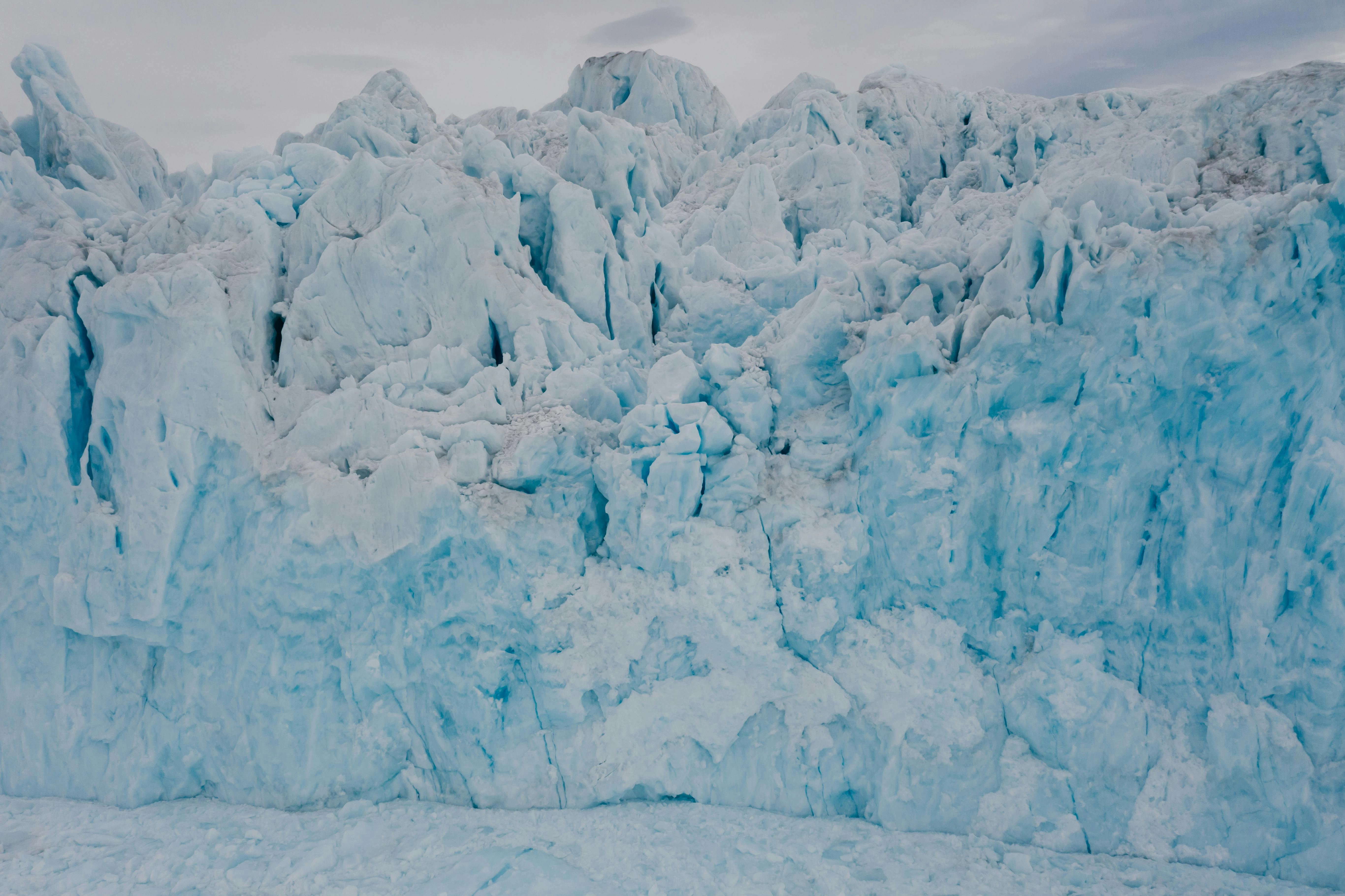 Towering Arctic Color Palette, Combinations & Schemes | Octet Design Labs