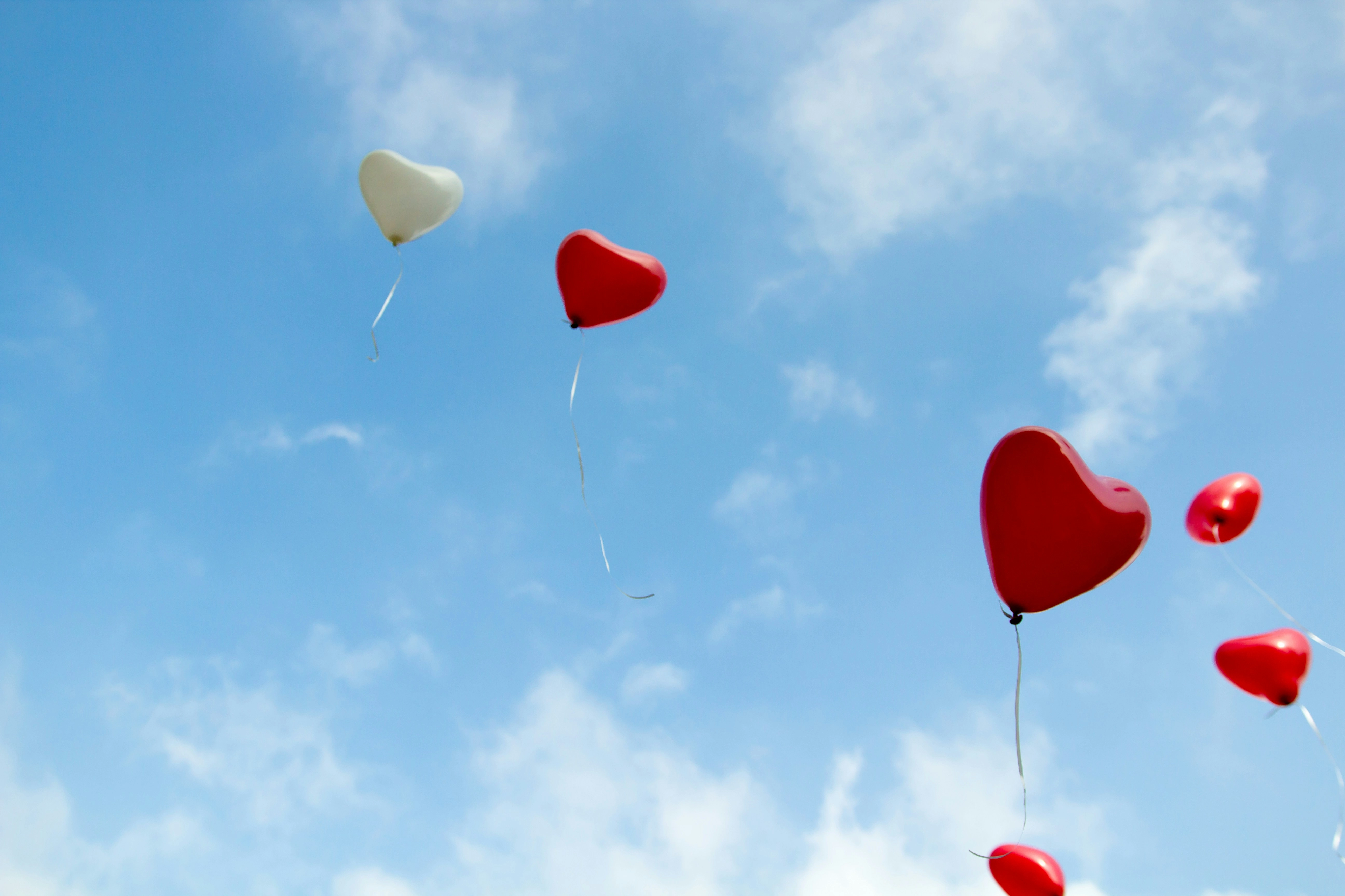 Heart Balloons Color Palette, Combinations & Schemes | Octet Design Labs