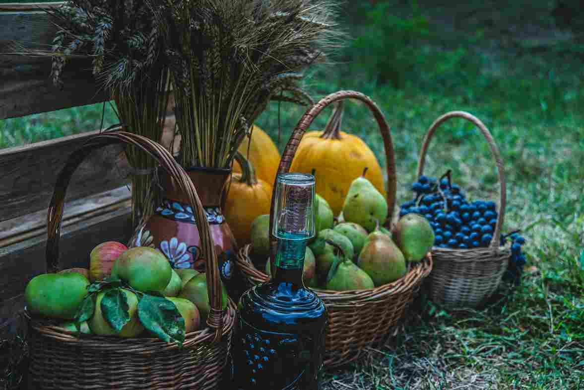 Autumn Harvest Color Palette, Combinations & Schemes | Octet Design Labs
