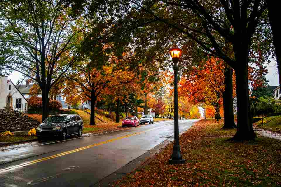 Autumnal Suburban Color Palette, Combinations & Schemes | Octet Design Labs