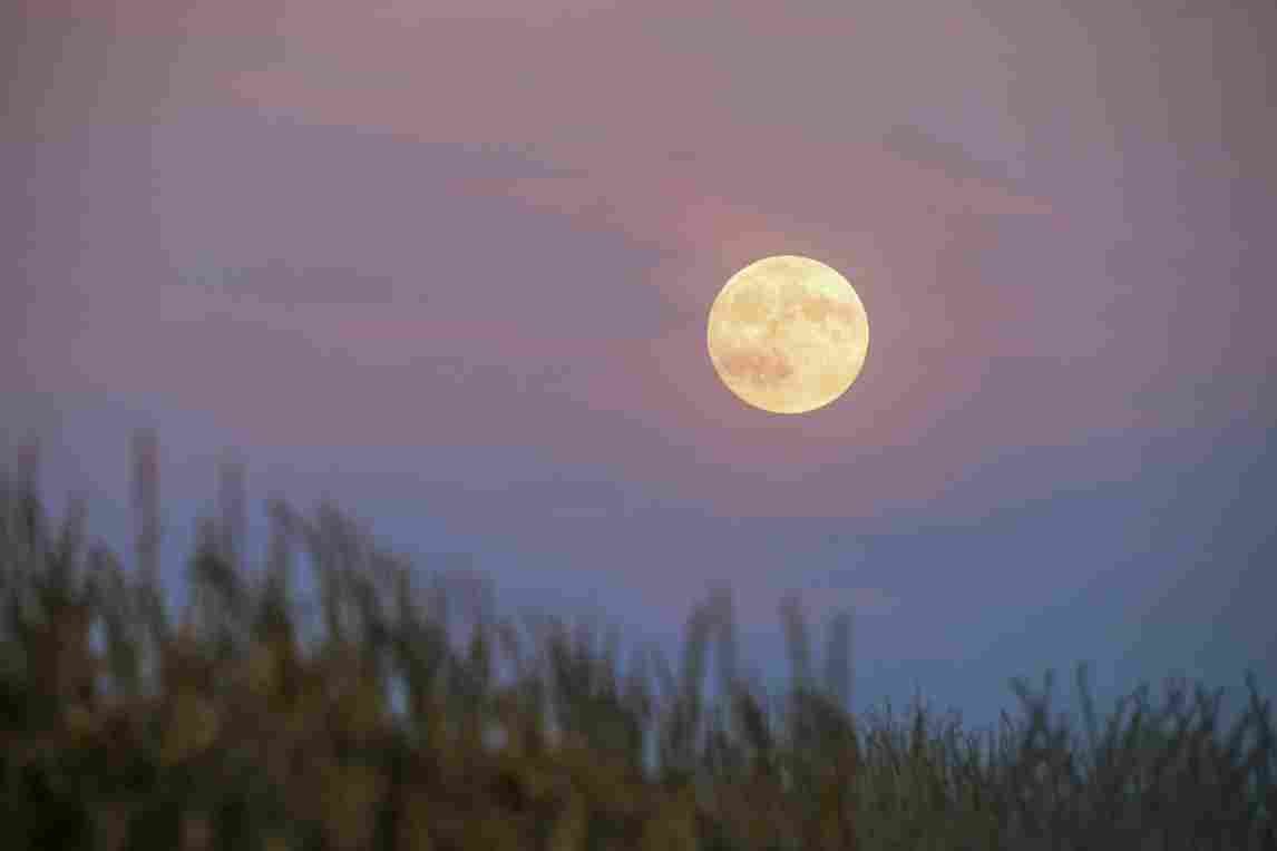 Full Moon Color Palette, Combinations & Schemes | Octet Design Labs