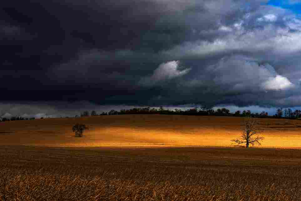Stormy Golden Color Palette, Combinations & Schemes | Octet Design Labs