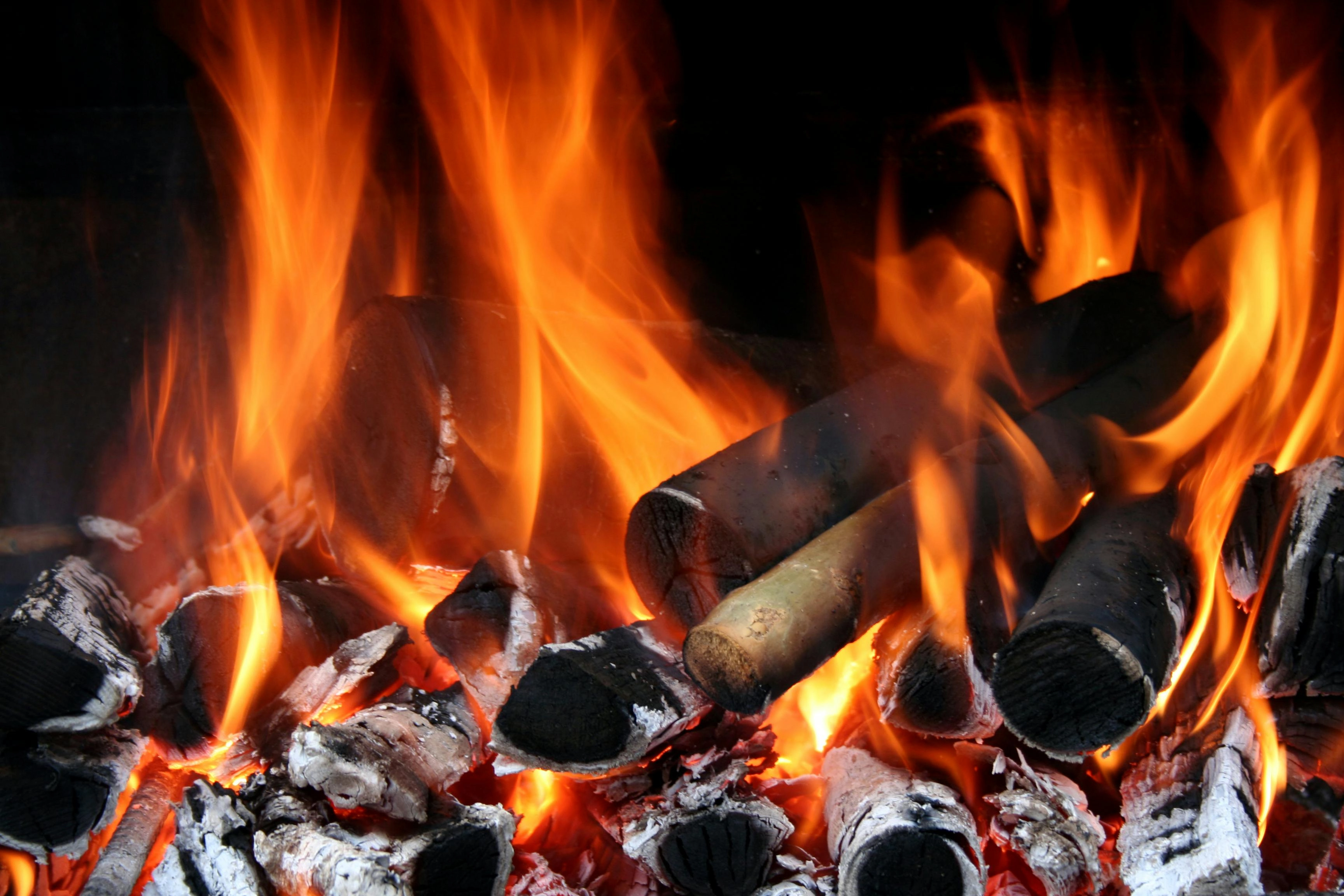 Roaring Campfire Color Palette, Combinations & Schemes | Octet Design Labs