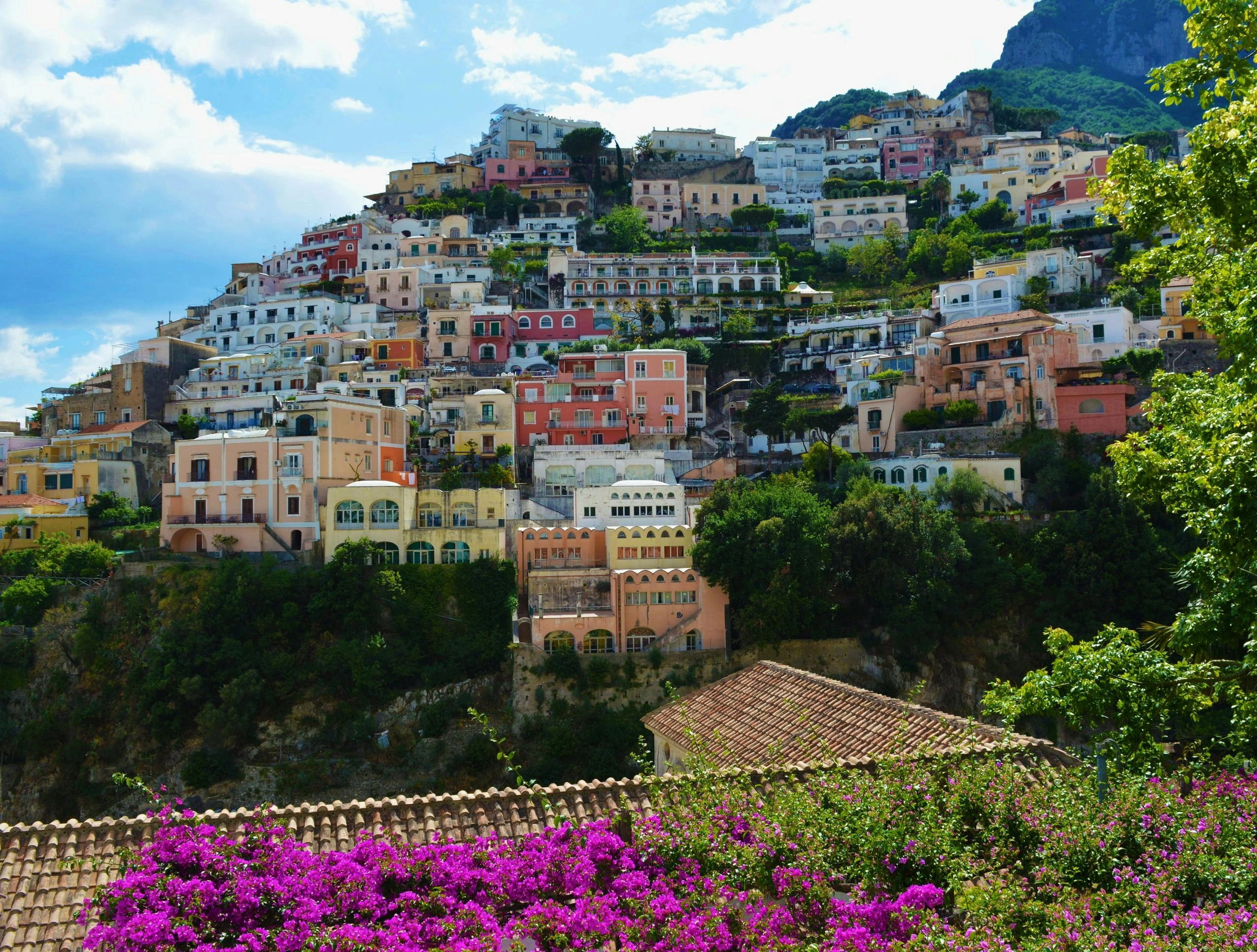 Colorful Amalfi Color Palette, Combinations & Schemes | Octet Design Labs