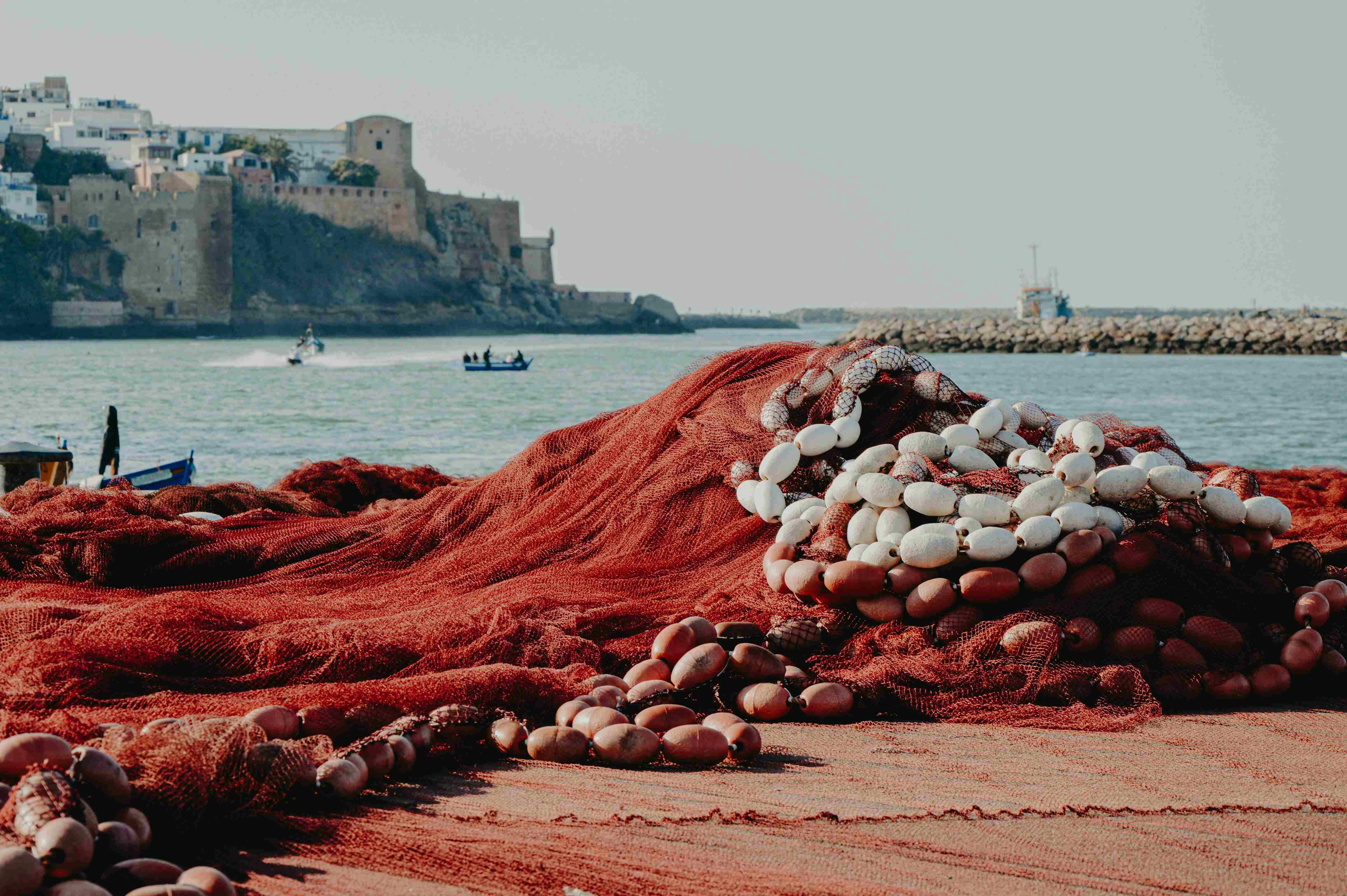 Mediterranean Fishing Color Palette, Combinations & Schemes | Octet ...