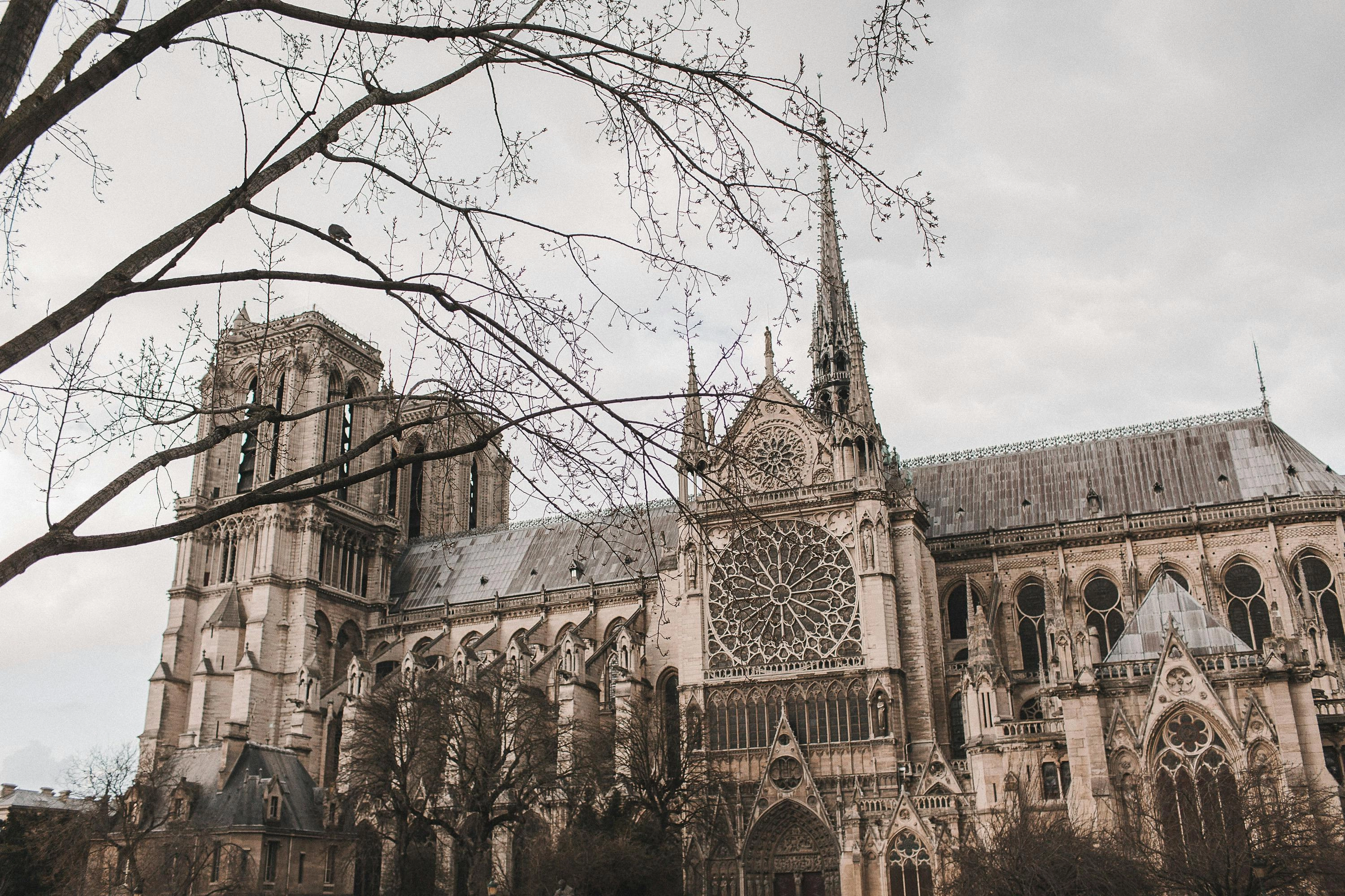 Notre-Dame Cathedral Color Palette, Combinations & Schemes | Octet ...