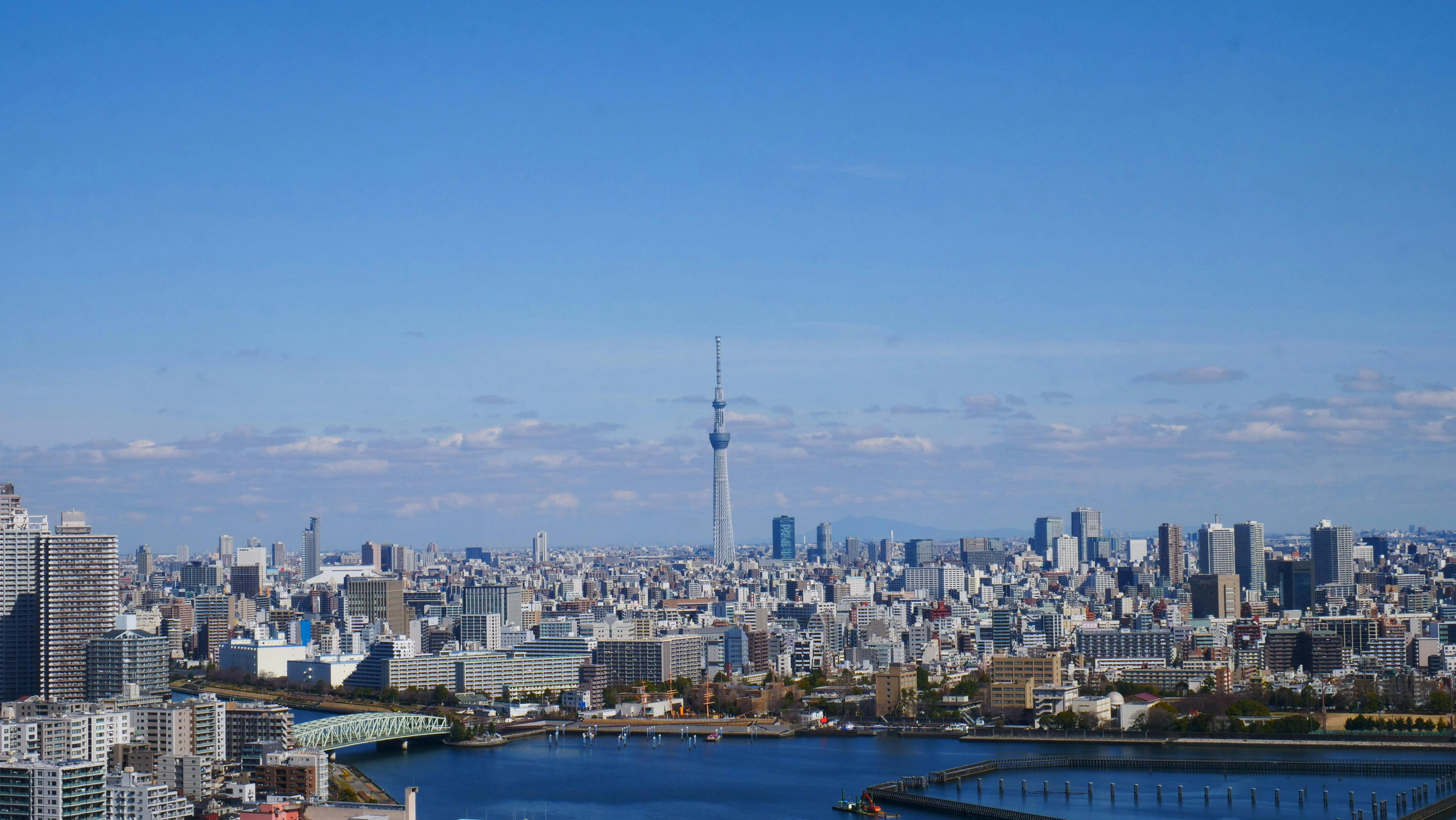 Tokyo Skyline Color Palette, Combinations & Schemes | Octet Design Labs