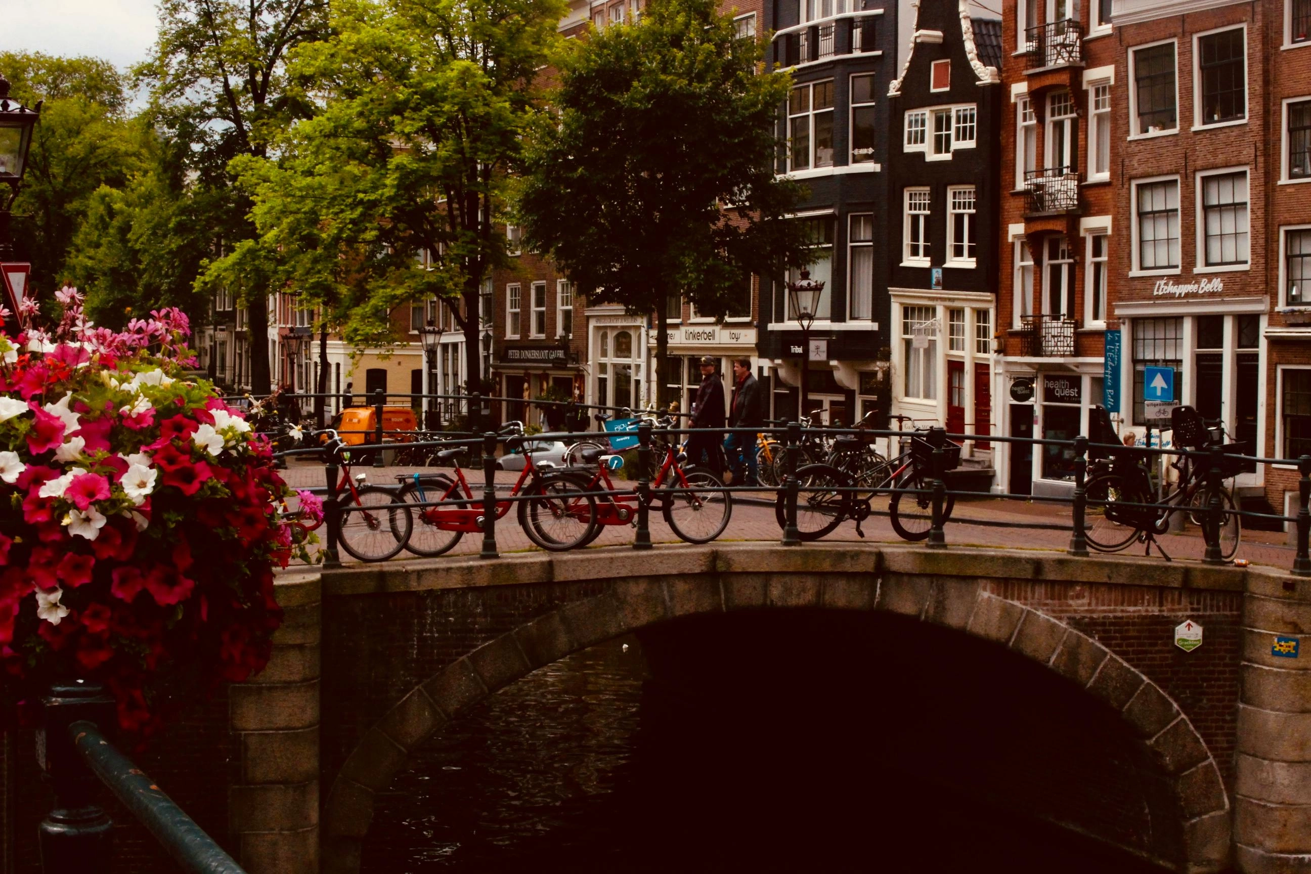 Amsterdam Canal Color Palette, Combinations & Schemes | Octet Design Labs