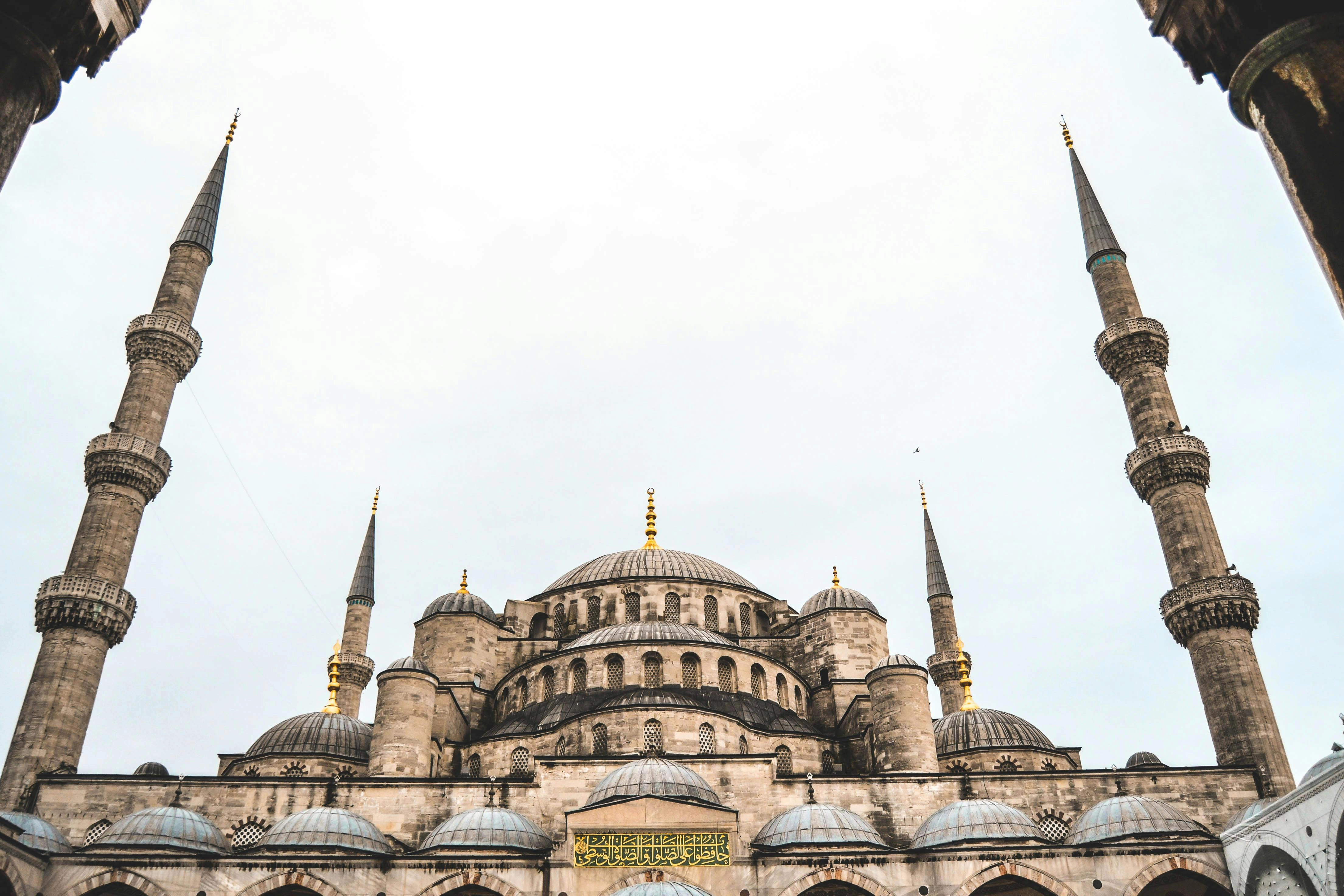 Blue Mosque Color Palette, Combinations & Schemes | Octet Design Labs