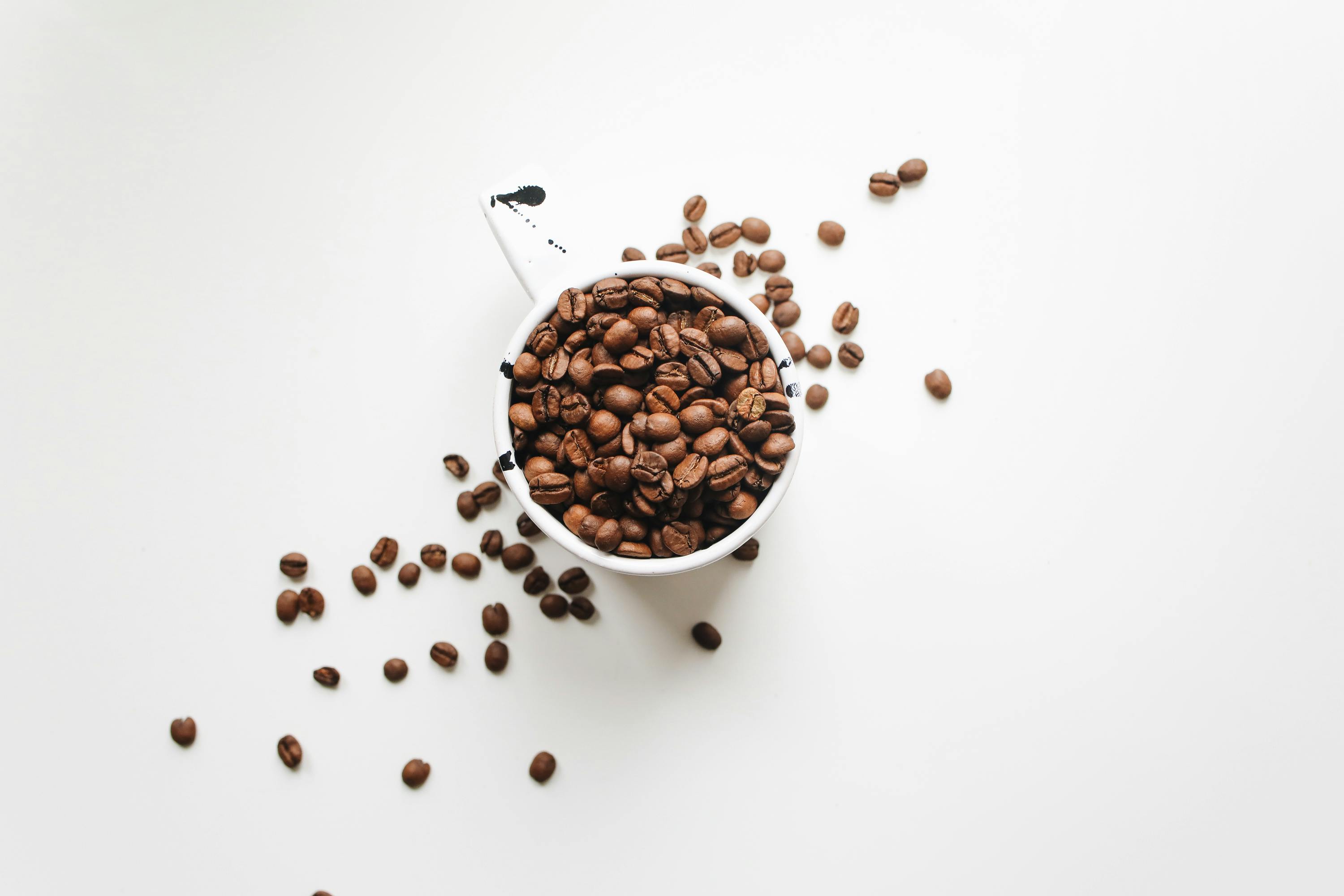 Coffee Beans Color Palette, Combinations & Schemes | Octet Design Labs