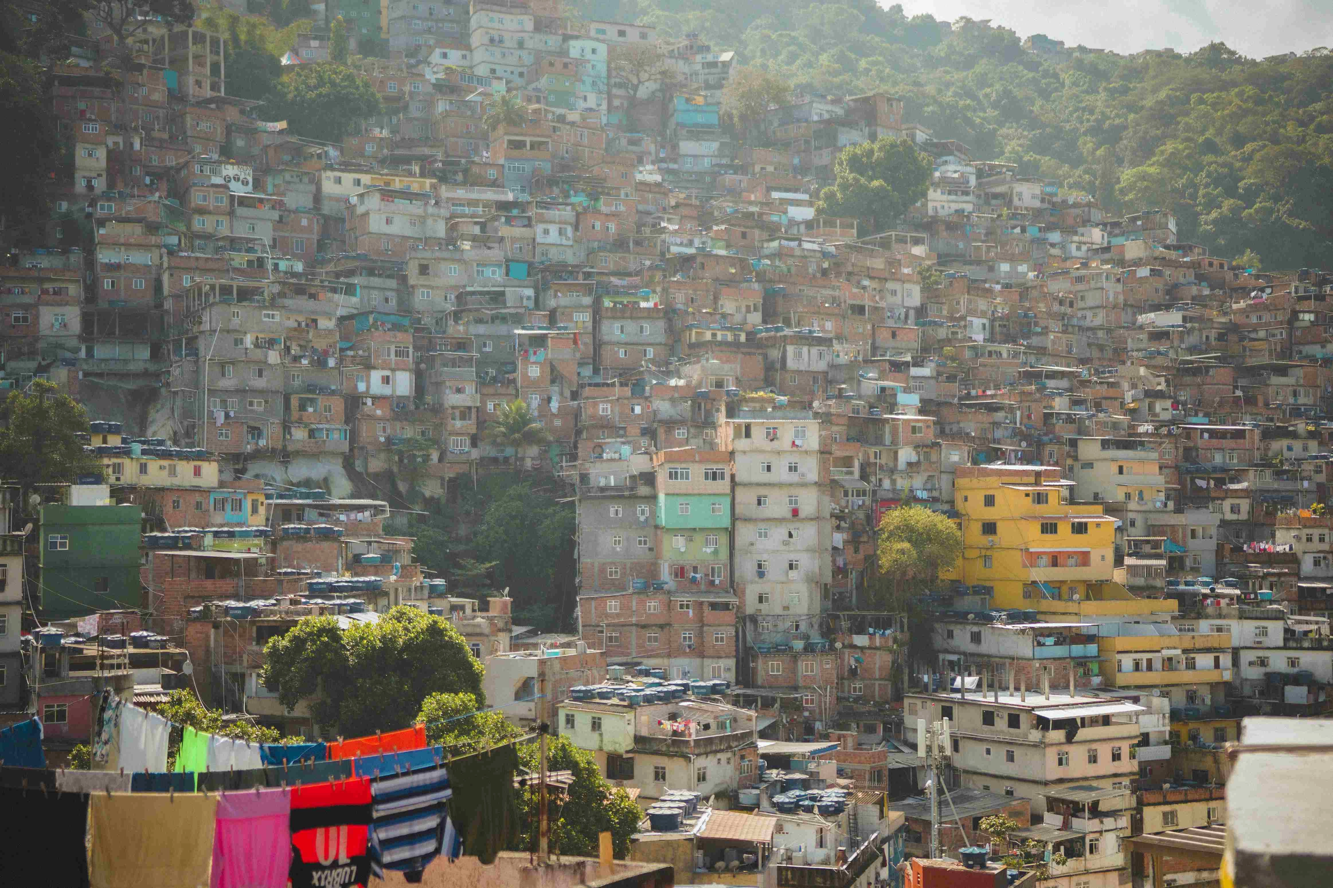 Colorful Favela Color Palette, Combinations & Schemes | Octet Design Labs