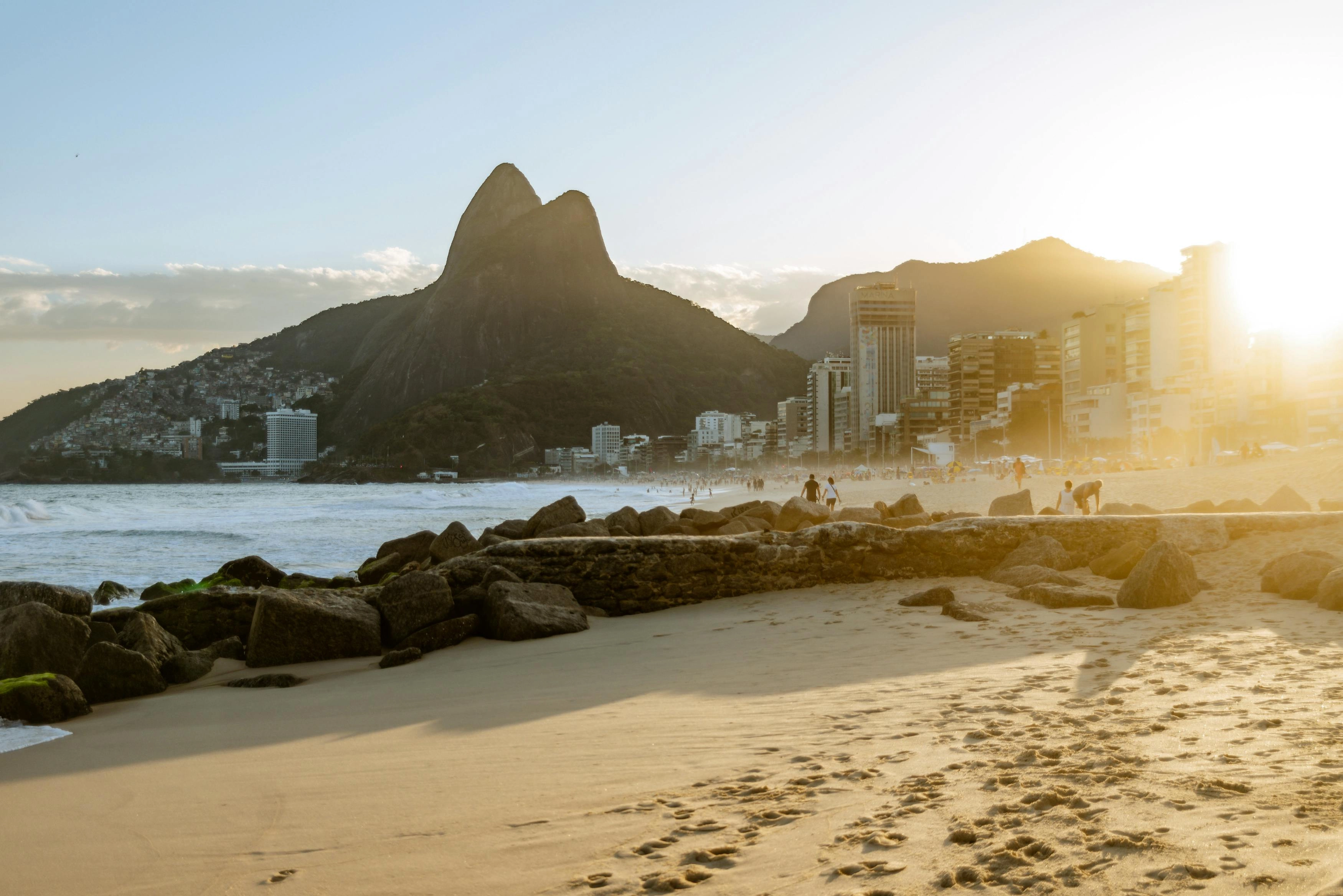 Rio de Color Palette, Combinations & Schemes | Octet Design Labs