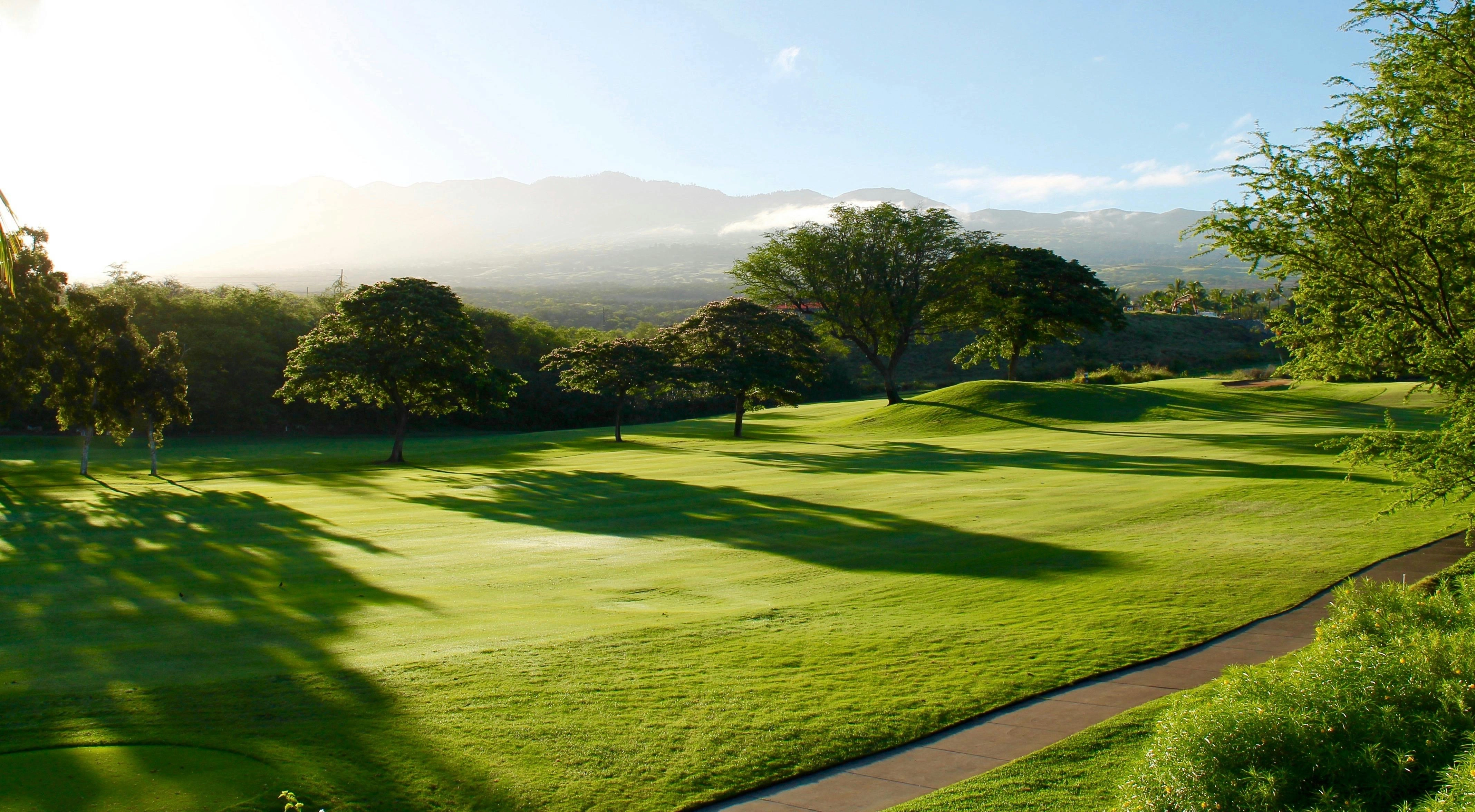 Scenic Golf Color Palette, Combinations & Schemes | Octet Design Labs