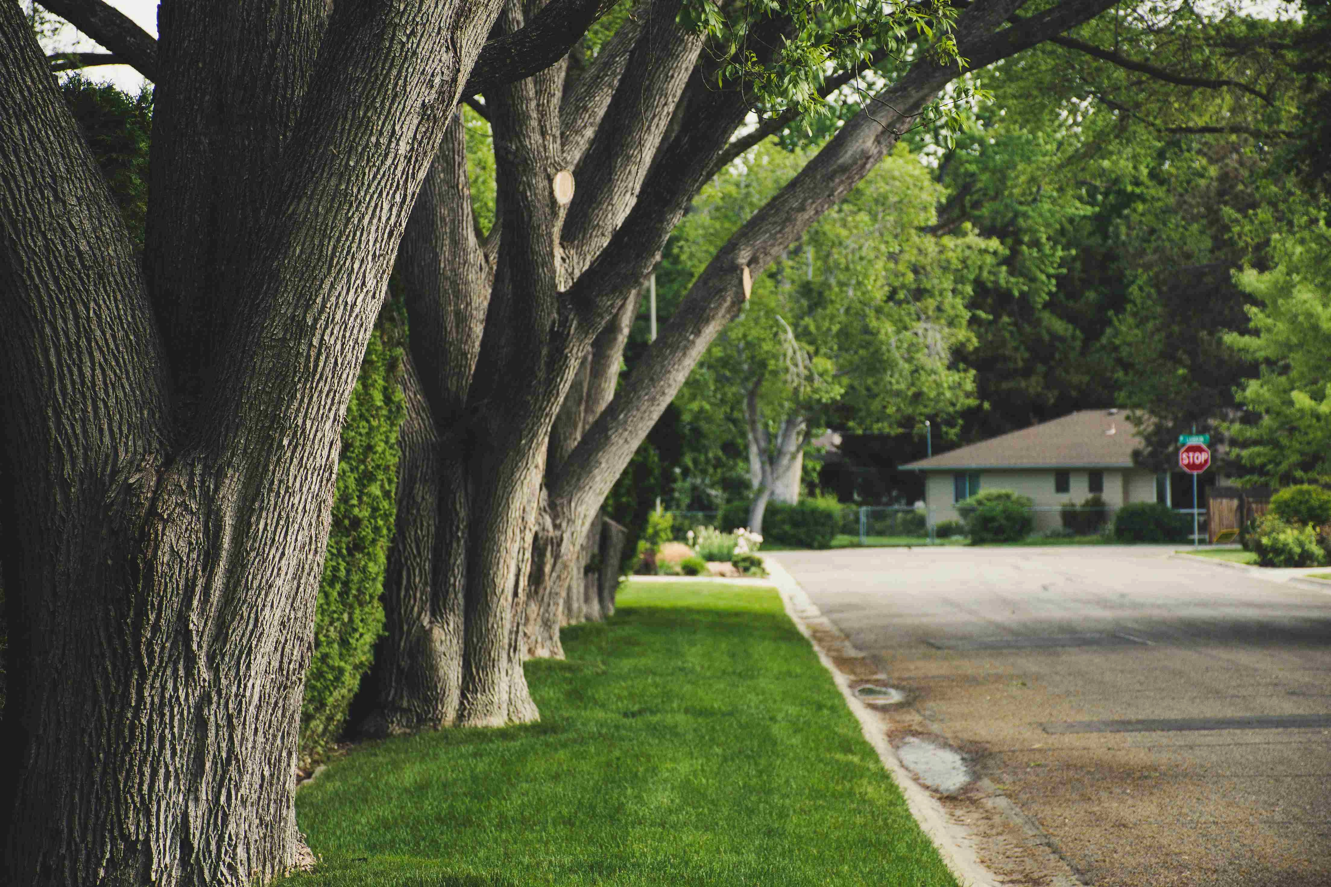 Suburban Street Color Palette, Combinations & Schemes | Octet Design Labs