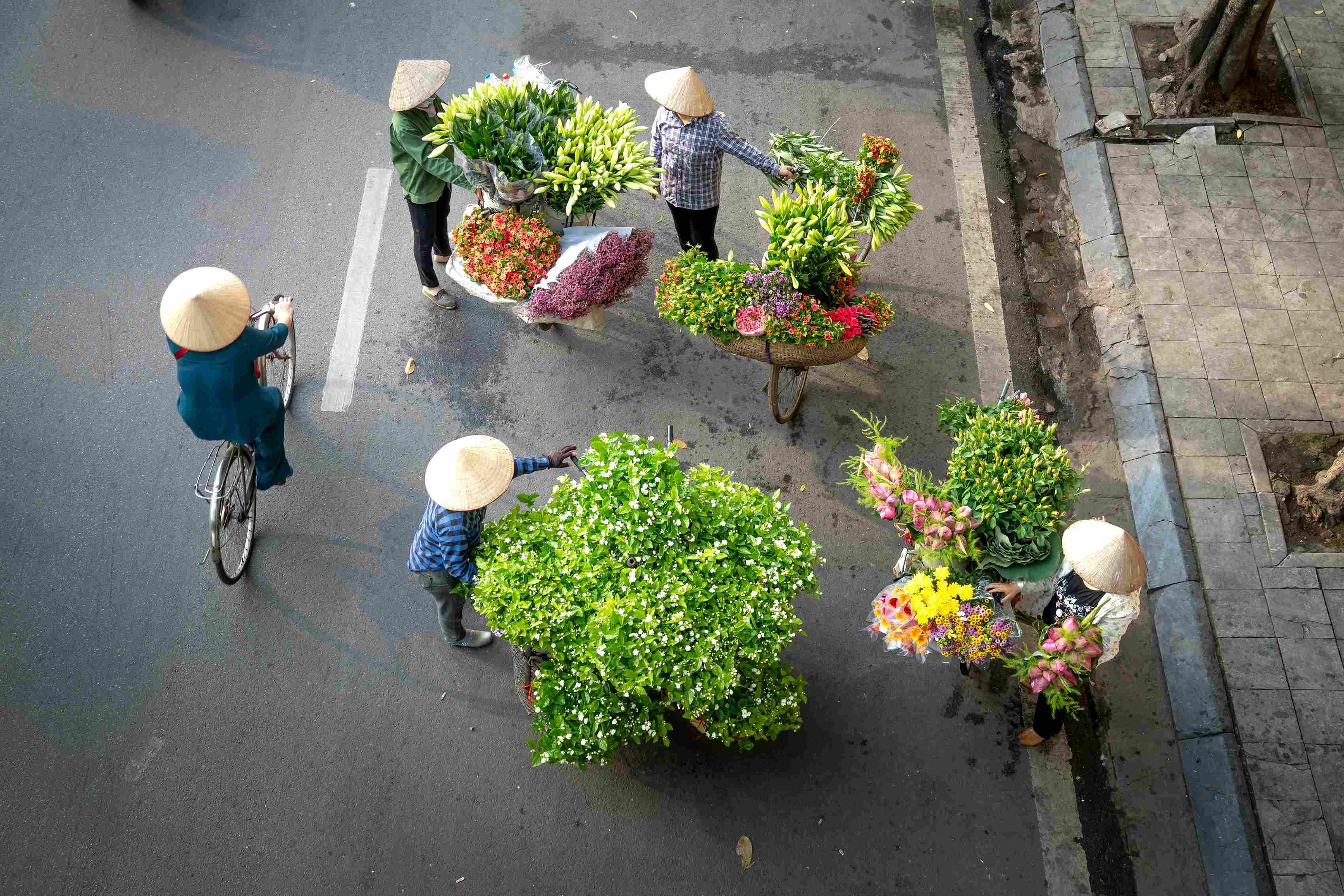 Vibrant Vietnamese Color Palette, Combinations & Schemes | Octet Design ...